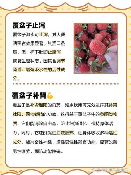 覆盆子中药功效与作用_覆盆子怎么泡水喝-第2张图片-山城妙识