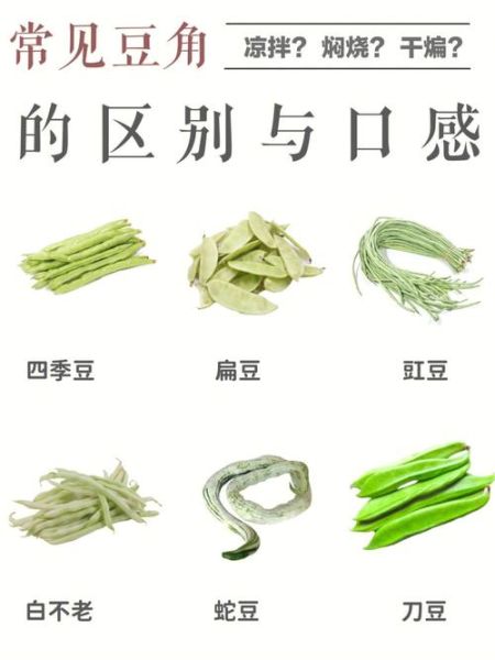 豇豆怎么种_豇豆和四季豆的区别-第1张图片-山城妙识