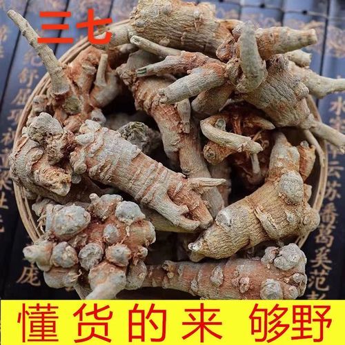 野生三七多少钱一斤_野生三七价格走势-第3张图片-山城妙识