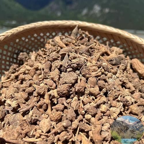 野生三七多少钱一斤_野生三七价格走势-第2张图片-山城妙识