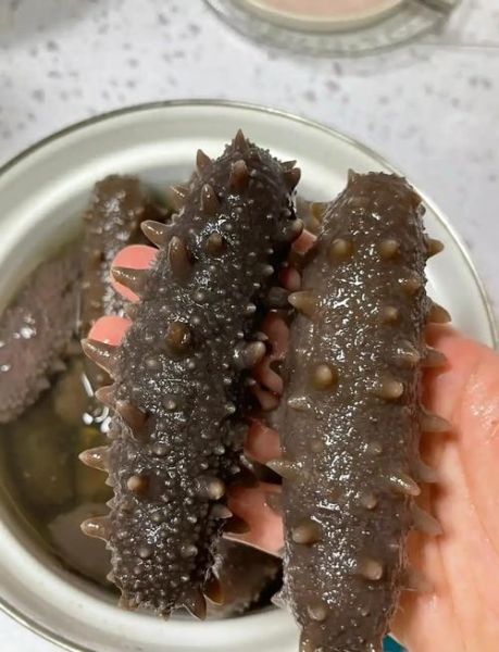 海参泡发率越大越好吗_海参泡发率多少合适-第2张图片-山城妙识