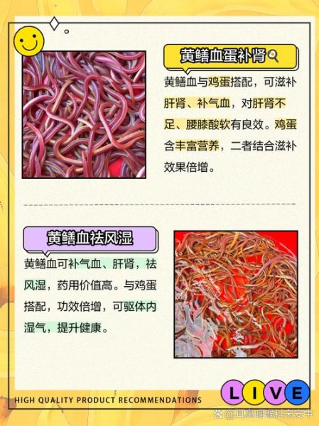 鳝鱼血的功效与作用_鳝鱼血能治病吗-第3张图片-山城妙识