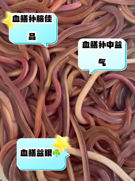 鳝鱼血的功效与作用_鳝鱼血能治病吗-第1张图片-山城妙识