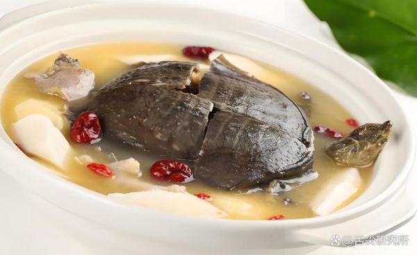 王八怎么炖汤_王八做法大全-第2张图片-山城妙识 王八怎么炖汤_王八做法大全-第2张图片-山城妙识