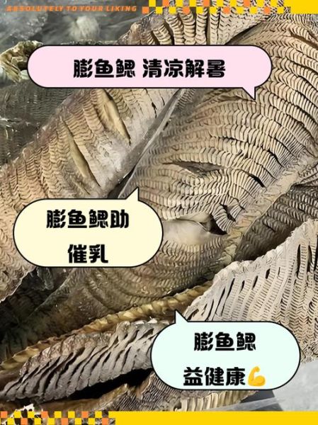 膨鱼鳃是什么鱼_膨鱼鳃的功效与作用-第3张图片-山城妙识