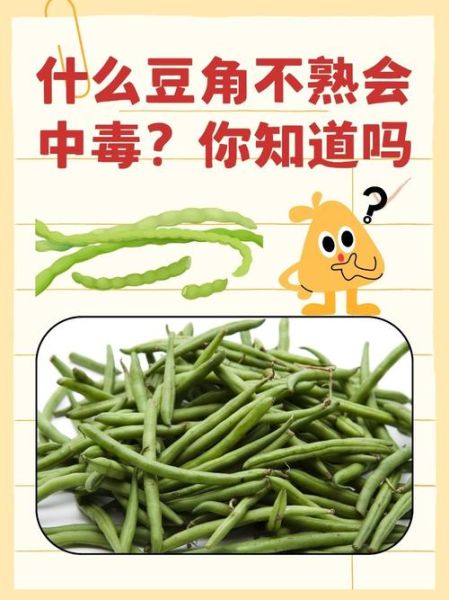 豆角没熟中毒什么症状_吃豆角中毒多久发作-第1张图片-山城妙识