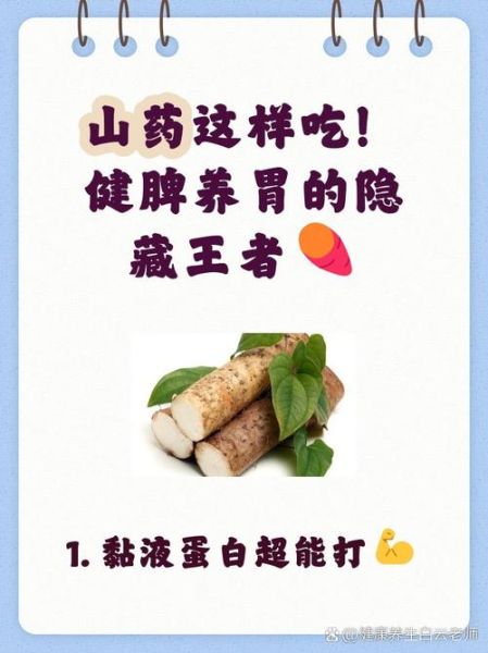 铁棍山药的功效与作用及禁忌_什么人不能吃-第3张图片-山城妙识