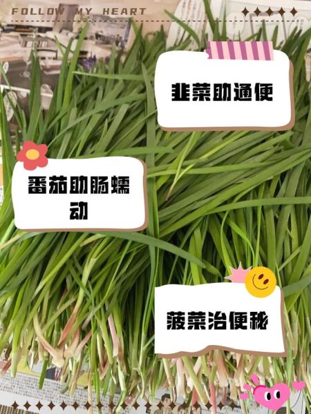 便秘吃什么蔬菜_便秘吃什么蔬菜最快通便-第2张图片-山城妙识