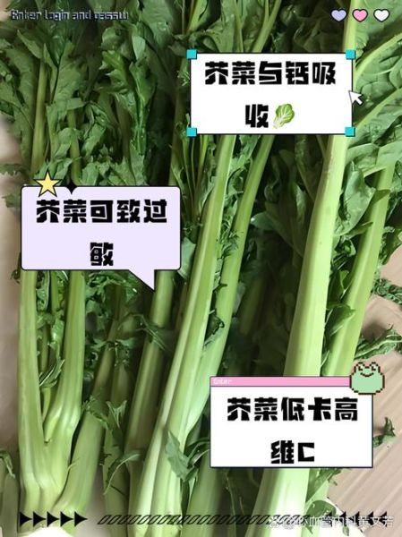 芥菜六种人不宜吃_芥菜什么人不能吃-第3张图片-山城妙识