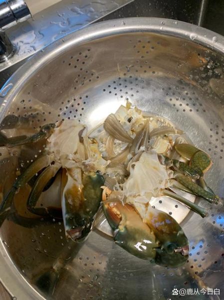 青蟹死了怎么处理_青蟹死了还能吃吗-第3张图片-山城妙识