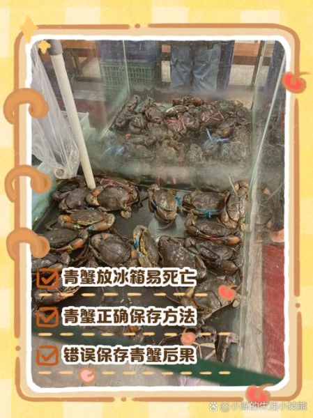 青蟹死了怎么处理_青蟹死了还能吃吗-第2张图片-山城妙识
