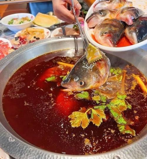 鱼头火锅怎么做_鱼头火锅用什么鱼最好-第3张图片-山城妙识 鱼头火锅怎么做_鱼头火锅用什么鱼最好-第3张图片-山城妙识