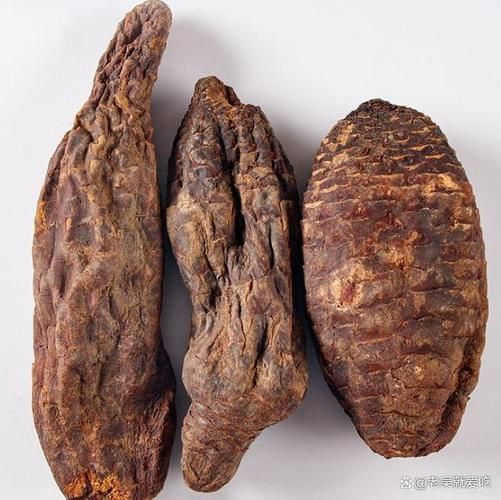 肉苁蓉长什么样_肉苁蓉图片特征-第1张图片-山城妙识