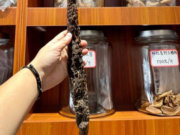 肉苁蓉长什么样_肉苁蓉图片特征-第2张图片-山城妙识