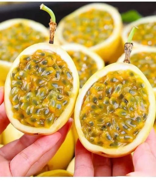 黄金百香果怎么吃_黄金百香果的正确吃法-第1张图片-山城妙识 黄金百香果怎么吃_黄金百香果的正确吃法-第1张图片-山城妙识