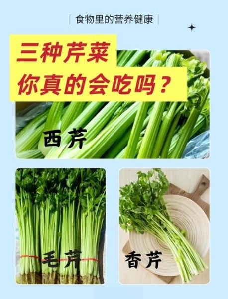 香芹和芹菜的区别_哪个更好吃-第1张图片-山城妙识 香芹和芹菜的区别_哪个更好吃-第1张图片-山城妙识