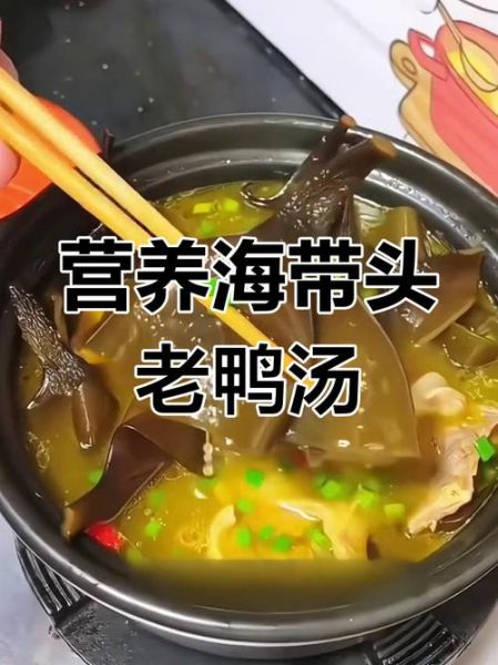 海带鸭肉汤的做法_海带鸭肉汤的功效-第2张图片-山城妙识