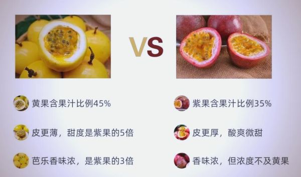 黄金百香果怎么吃_黄金百香果的正确吃法-第3张图片-山城妙识 黄金百香果怎么吃_黄金百香果的正确吃法-第3张图片-山城妙识