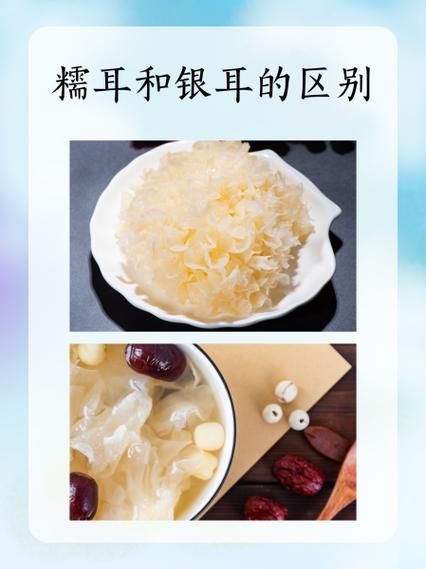 雪耳怎么泡发_雪耳和银耳的区别-第1张图片-山城妙识