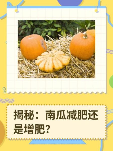 老南瓜减肥还是增肥_吃南瓜会胖吗-第1张图片-山城妙识