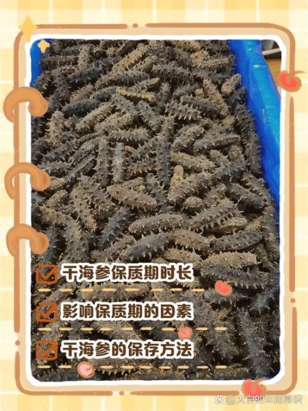干海参放了5年还能吃吗_干海参保质期多久-第1张图片-山城妙识