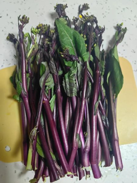 花叶苔菜的功效与作用_花叶苔菜怎么吃最好-第2张图片-山城妙识