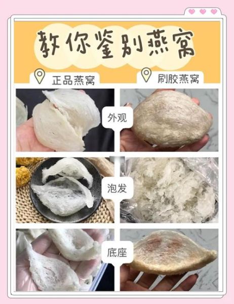 燕窝鱼翅图片真假辨别_燕窝鱼翅营养价值对比-第1张图片-山城妙识 燕窝鱼翅图片真假辨别_燕窝鱼翅营养价值对比-第1张图片-山城妙识