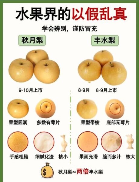 丰水梨的功效与作用_丰水梨能降火吗-第1张图片-山城妙识