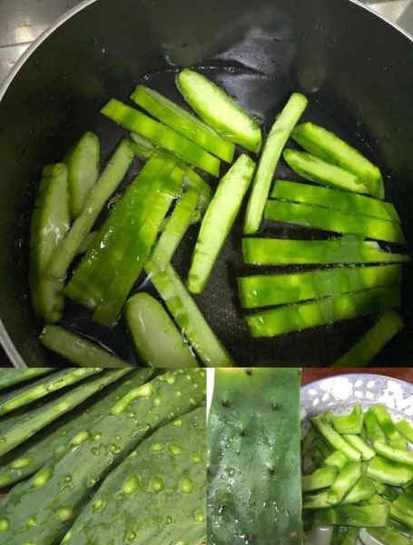 仙人掌能抗肿瘤吗_仙人掌抗肿瘤的吃法-第1张图片-山城妙识