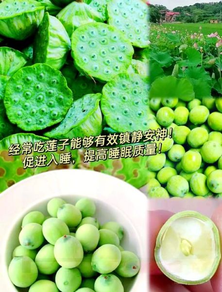 莲蓬煮水的功效与作用_莲蓬煮水能减肥吗-第2张图片-山城妙识 莲蓬煮水的功效与作用_莲蓬煮水能减肥吗-第2张图片-山城妙识