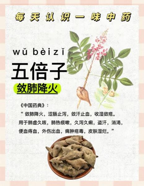 五倍子是什么_五倍子功效与作用-第1张图片-山城妙识