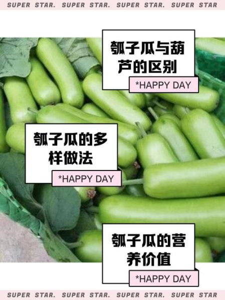 瓠子不能和什么一起吃_瓠子相克食物有哪些-第2张图片-山城妙识 瓠子不能和什么一起吃_瓠子相克食物有哪些-第2张图片-山城妙识