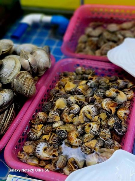 螺类大全_常见淡水螺有哪些-第3张图片-山城妙识