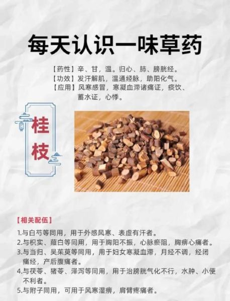 桂枝的功效与作用_桂枝的主治有哪些-第1张图片-山城妙识 桂枝的功效与作用_桂枝的主治有哪些-第1张图片-山城妙识