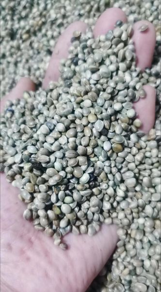 麻腐是什么东西做的_麻腐原料有哪些-第2张图片-山城妙识