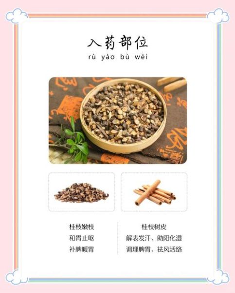 桂枝的功效与作用_桂枝的主治有哪些-第2张图片-山城妙识 桂枝的功效与作用_桂枝的主治有哪些-第2张图片-山城妙识