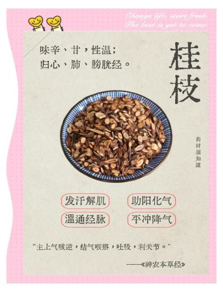 桂枝的功效与作用_桂枝的主治有哪些-第3张图片-山城妙识 桂枝的功效与作用_桂枝的主治有哪些-第3张图片-山城妙识
