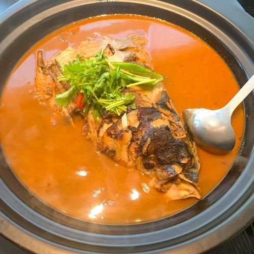 胖头鱼鱼头怎么做好吃_胖头鱼鱼头汤的做法-第2张图片-山城妙识