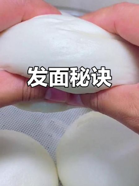 超松软馒头发面技巧_为什么馒头总是发不起来-第2张图片-山城妙识