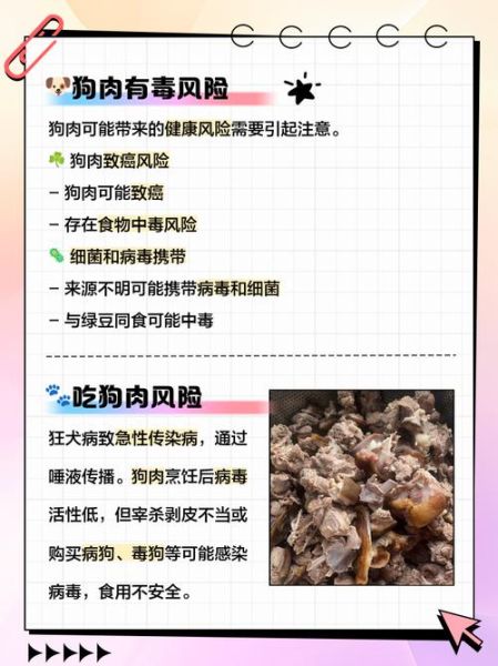 男人吃了狗肉晚上会怎么样_吃狗肉后身体反应-第2张图片-山城妙识 男人吃了狗肉晚上会怎么样_吃狗肉后身体反应-第2张图片-山城妙识