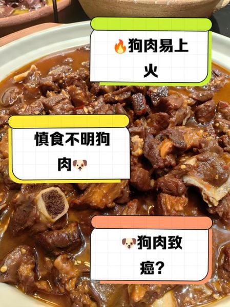 男人吃了狗肉晚上会怎么样_吃狗肉后身体反应-第3张图片-山城妙识 男人吃了狗肉晚上会怎么样_吃狗肉后身体反应-第3张图片-山城妙识