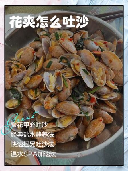 花甲怎么清洗_花甲吐沙最快的方法-第2张图片-山城妙识