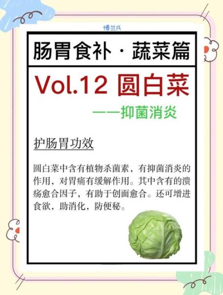 包菜的热量是多少_减肥能吃包菜吗-第2张图片-山城妙识 包菜的热量是多少_减肥能吃包菜吗-第2张图片-山城妙识