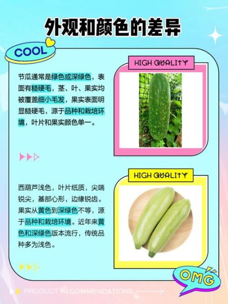 节瓜是寒性还是热性_节瓜寒性还是热性-第2张图片-山城妙识