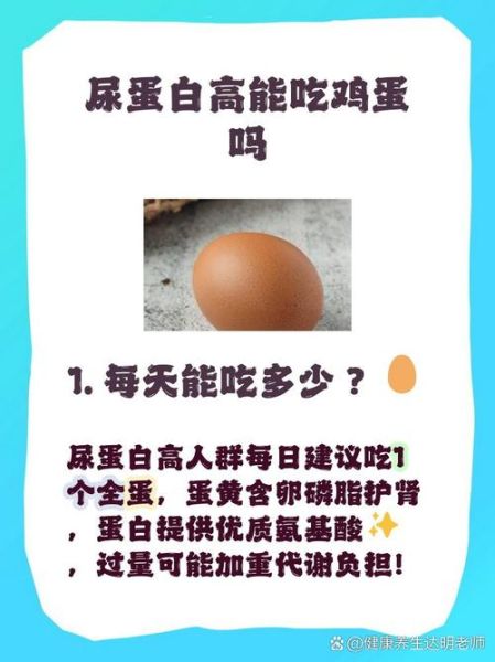 鸡蛋补肾精一天吃几个_肾虚吃鸡蛋有用吗-第1张图片-山城妙识