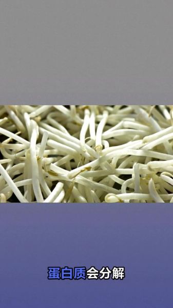 豆芽嘌呤高吗_痛风能吃豆芽吗-第1张图片-山城妙识