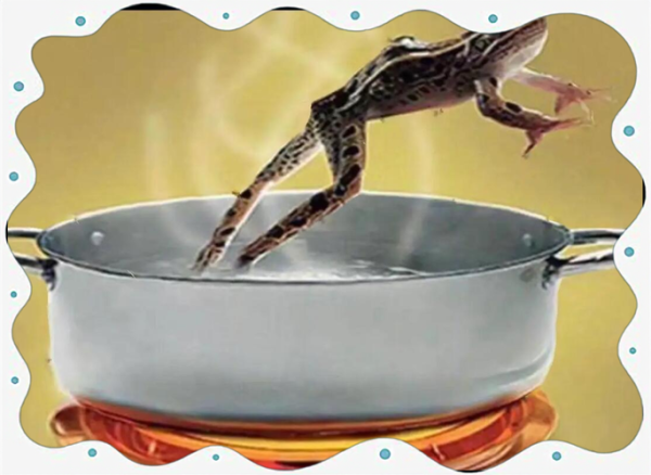 温水煮青蛙是真的吗_青蛙会不会被慢慢煮死-第2张图片-山城妙识