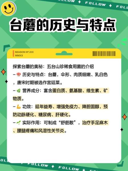 台蘑菇多少钱一斤_台蘑菇价格行情-第3张图片-山城妙识