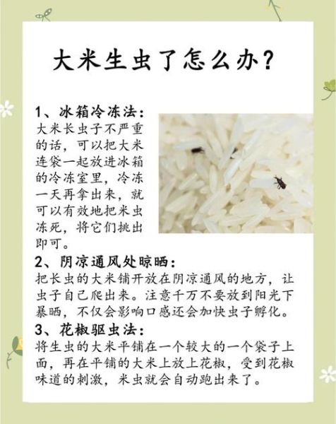 大米生虫子怎么办_如何彻底消灭米虫-第1张图片-山城妙识 大米生虫子怎么办_如何彻底消灭米虫-第1张图片-山城妙识