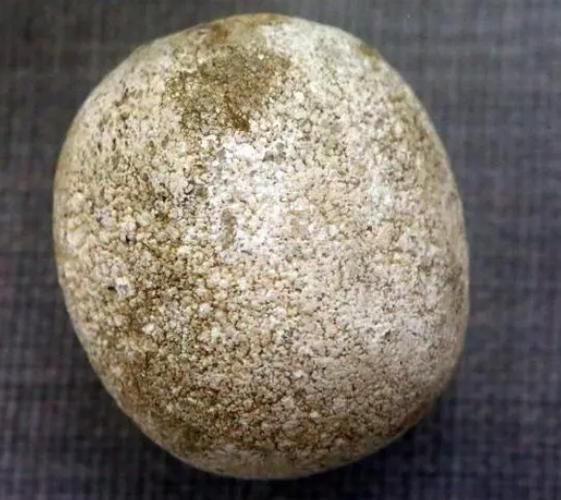 狗宝是什么东西_狗宝有什么功效与作用-第2张图片-山城妙识